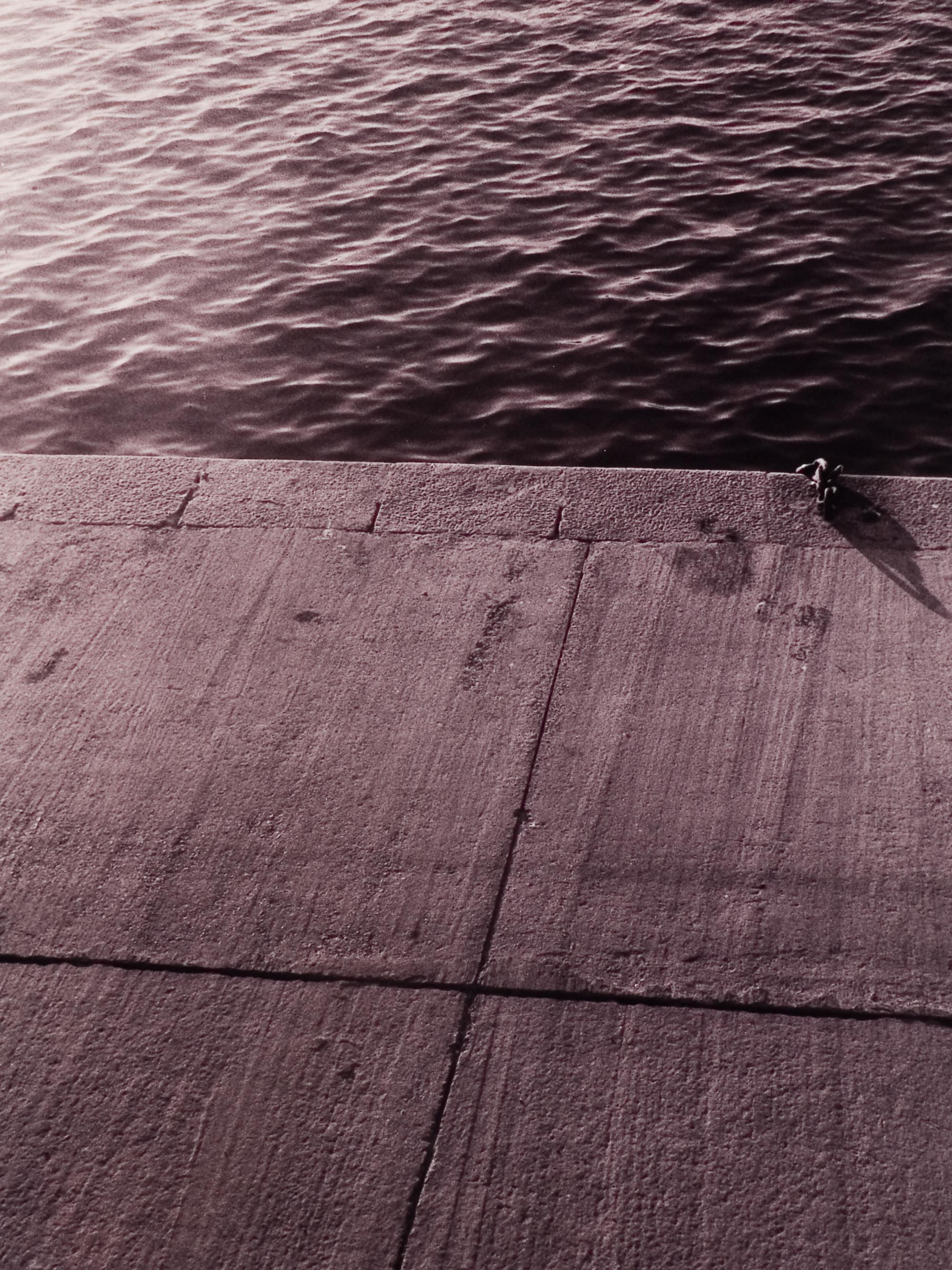 Click here for Antonio Rojas Dique cadena Photography On Paper  1... prices